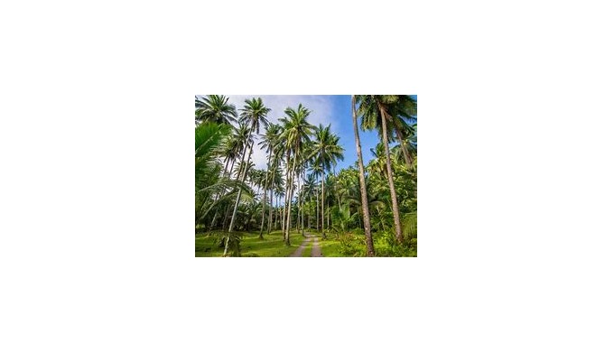 De Coco Farm, 329, Kamaraj Salai Navee...