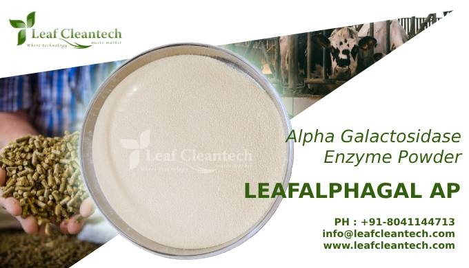 Global B2B Online Directory - Search for company information - Kompass