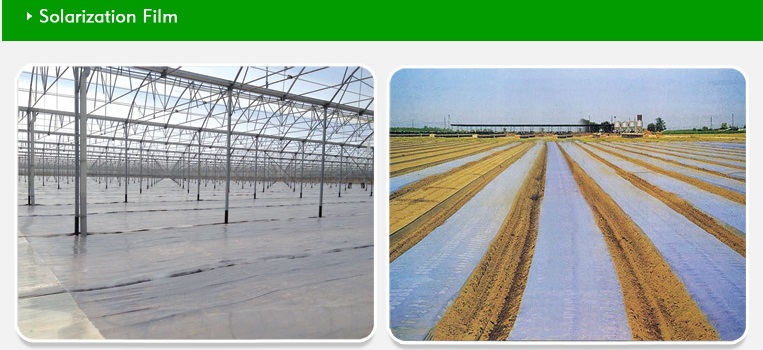 SOLARIZATION FILM (by Vural Plastik Ve Ambalaj Sanayi Ve Ticaret ...