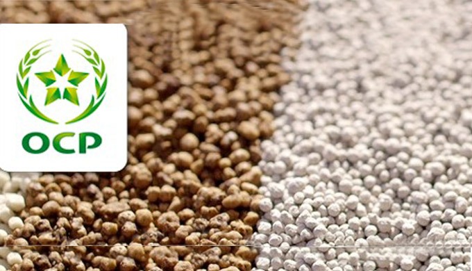 Ocp S.a., 2, Rue El Abtal, Hay Erra...