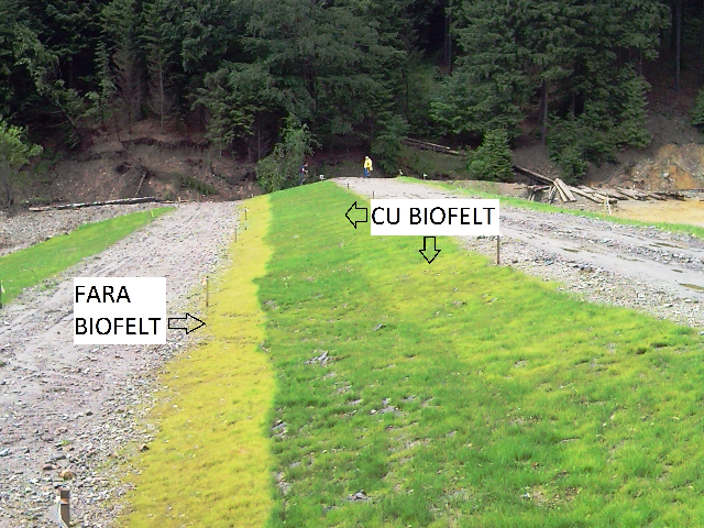 Biodegradable geocomposite- Biofelt (by B2B CONSPROD SRL)