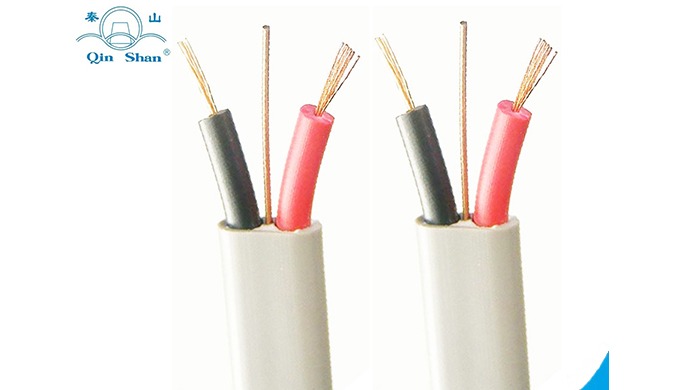 Zhejiang Qinshan Cable Co.,ltd., No.218,west Changfeng Roa..., CO.REGI