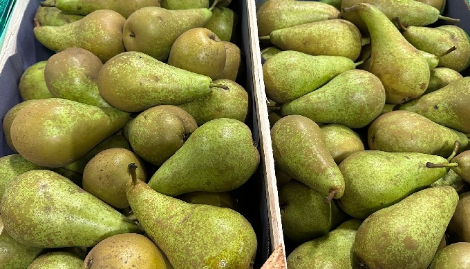 Global B2B Online Directory - Search for company information - Kompass