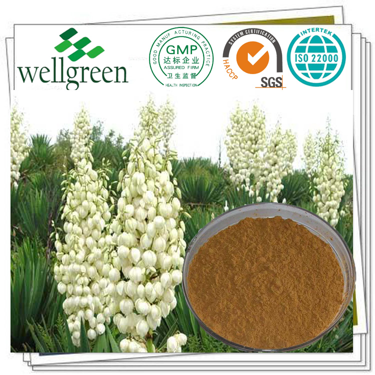 yucca schidigera extract/yucca extract powder/yucca powder (by ...
