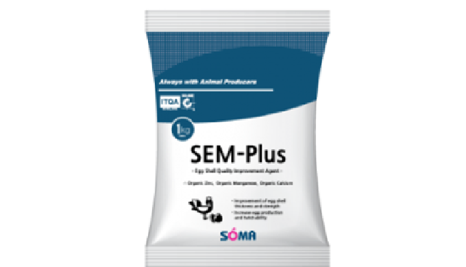 Portal Global de Empresas B2B - Búsqueda de Información de empresas - Kompass