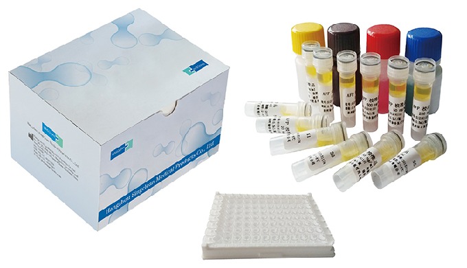 Global B2B Online Directory - Search for company information - Kompass