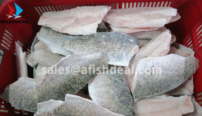 Dong Phuong Fish & Seafood Company Limited, Nam Song Can Tho