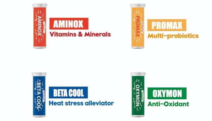 Annuaire des entreprises - S’informer sur les entreprises - Kompass