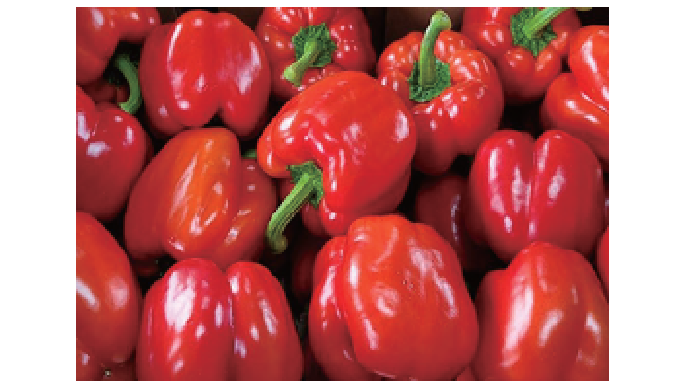 Global B2B Online Directory - Search for company information - Kompass